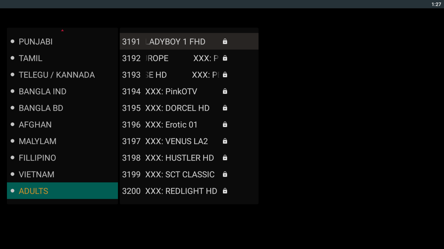 How to Enter the Adult Channels on NetGo? - iptv service provider